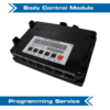 Holden VE Body Control Module (BCM) Programming Service - Envyous Customs